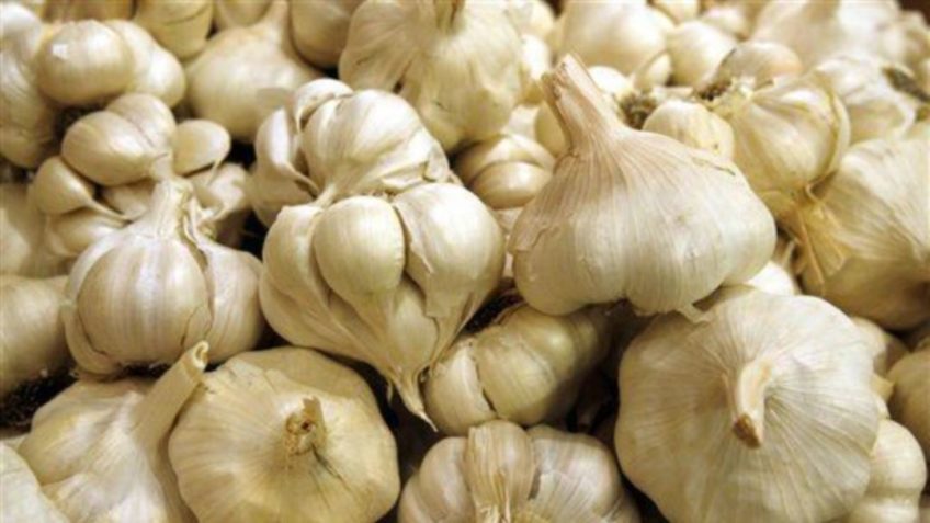 What is Garlic? – Brainz