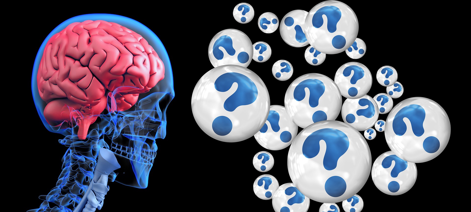 50 Fascinating Facts About The Human Brain – Brainz